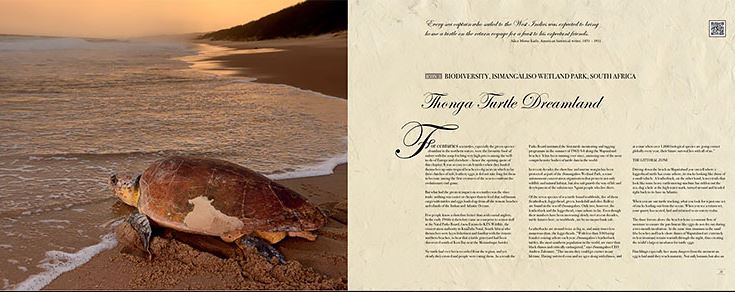 African Icons book has a special focus on the turtles of Isimangaliso ...